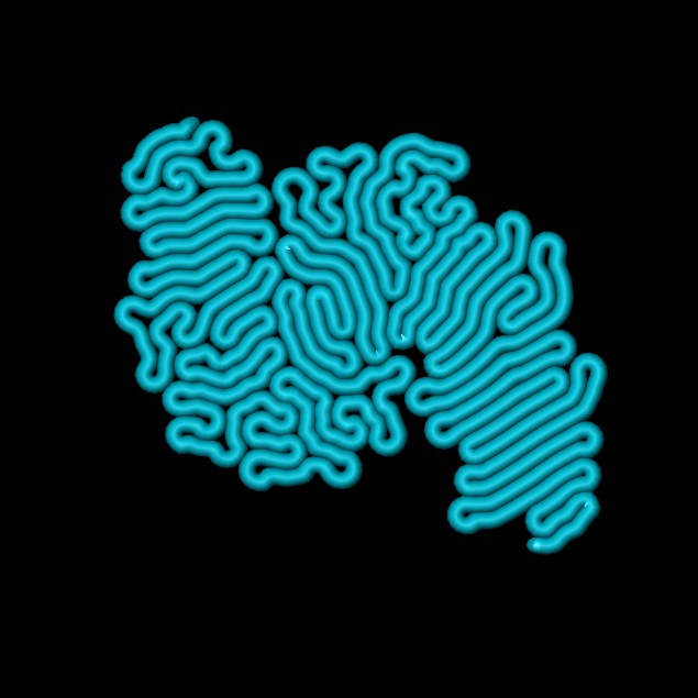 Experimental Design Methods — Differential Growth – Johanna Schmidtke