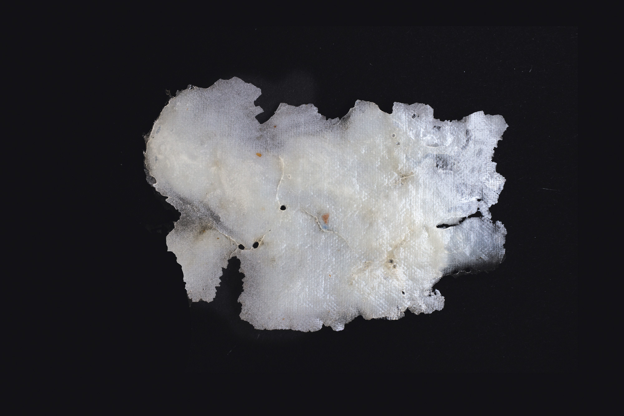 PROTEIN-BASED BIOPLASTICS profile – material | technology ...