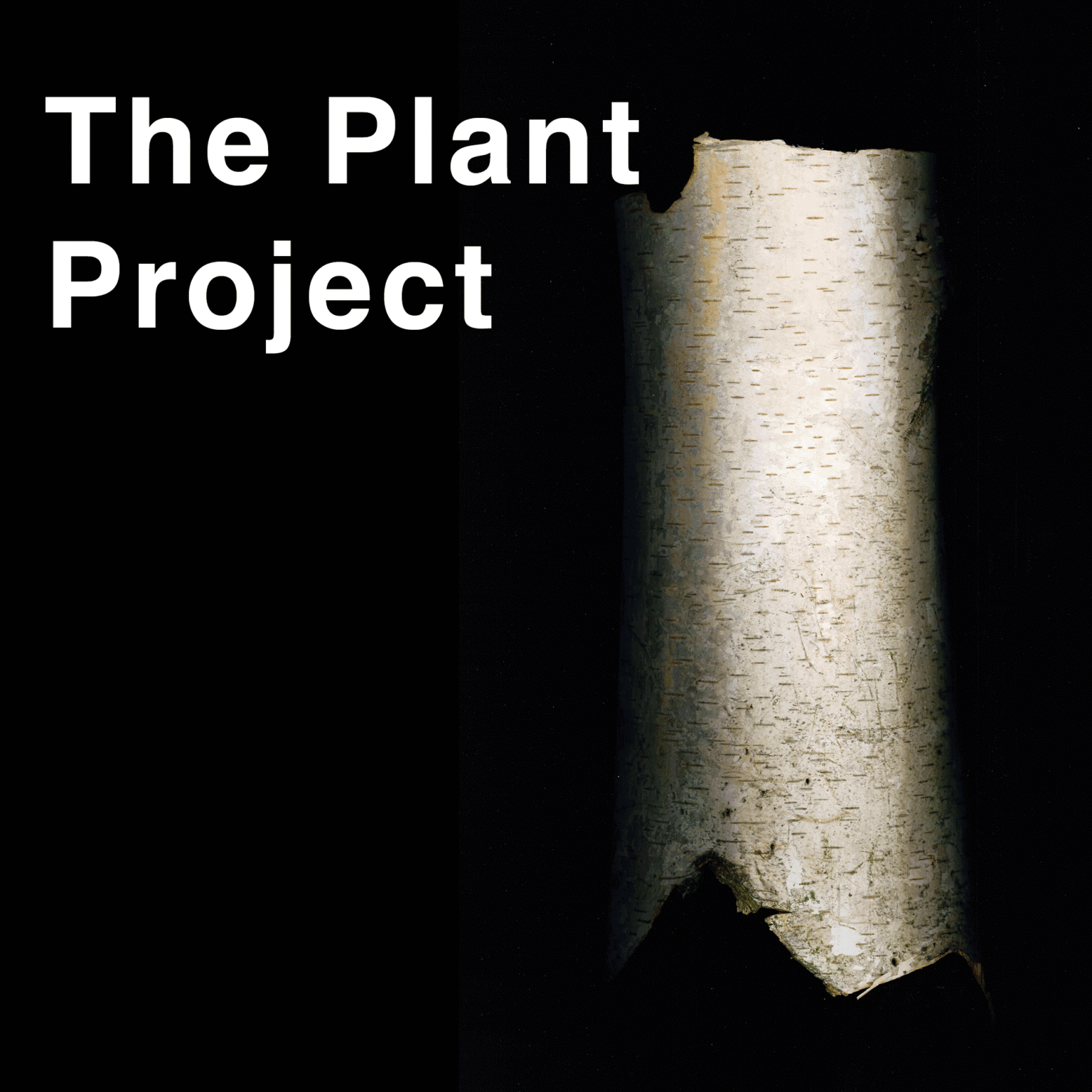 The Plant Project – Resilience Part II – material | technology ...