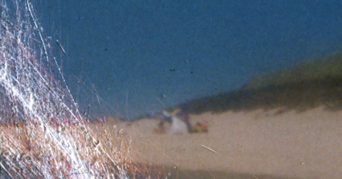 David Kind beim beim 37. Filmfestival Dresden - Burg Giebichenstein ...