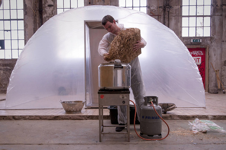GROW: The Art and Science of Mushroom Cultivation | MAKE.